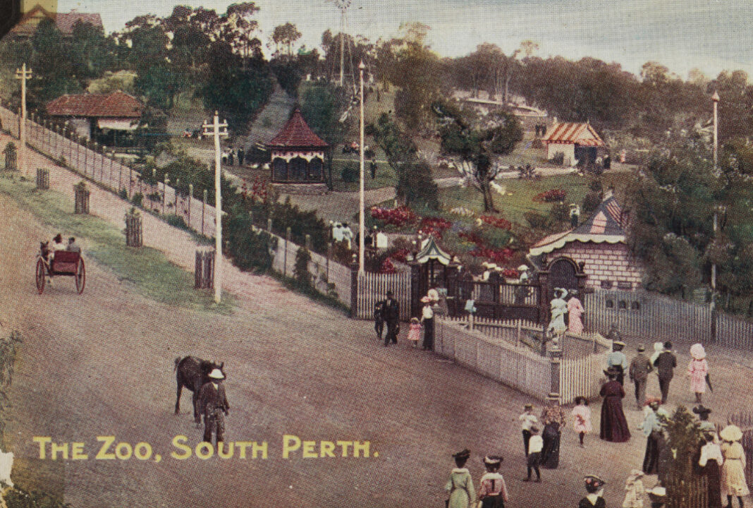 New Perth Zoo cafe precinct opens - Australian Seniors News